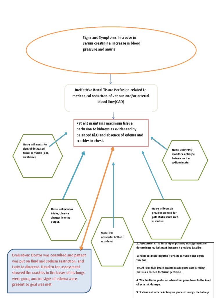 Care Plan Concept Map Renal | PDF | Perfusion | Kidney