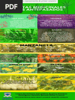 Infografia de Plantas Medicinales y Aromaticas | PDF | Hierbas Medicinales Y Hongos | Plantas ...