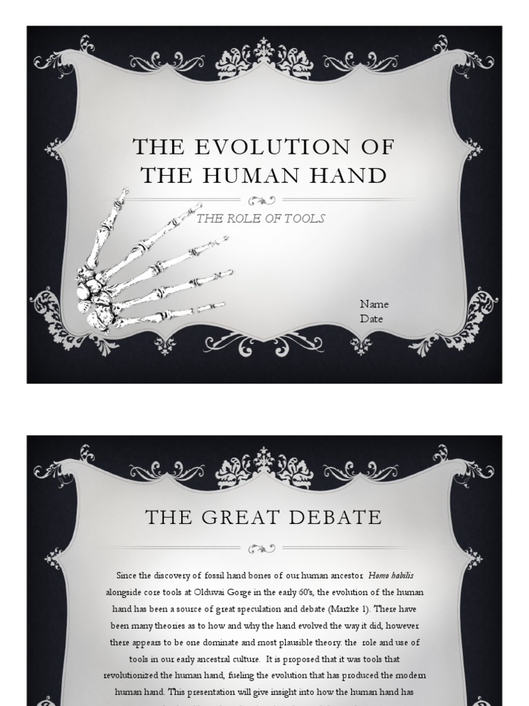 The Evolution of The Human Hand | PDF | Thumb | Finger