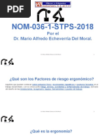 NOM 036 STPS 2018 Factores de Riesgo Ergonómico | PDF