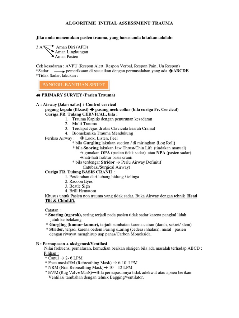 FORMAT INITIAL ASSESMENT New | PDF