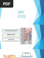 Fundus Diagram Drawing Guide | PDF | Retina | Human Eye