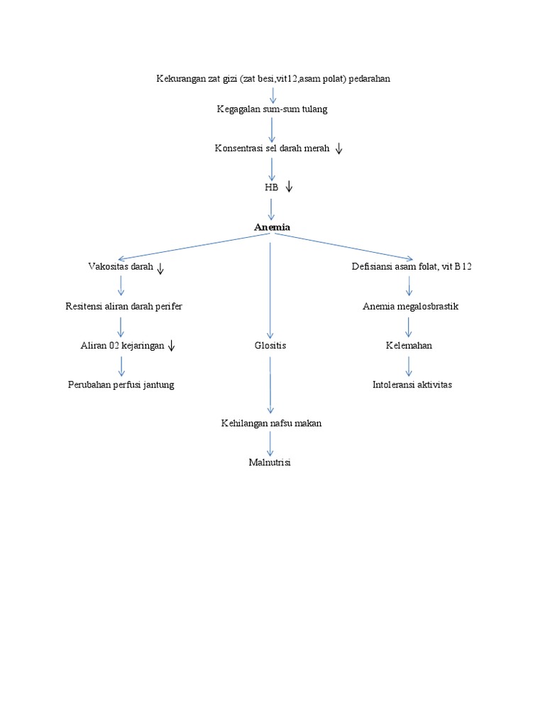 Woc Anemia Ibu Hamil | PDF
