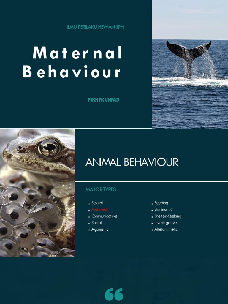 Maternal Behaviour in Animals: A Review of Key Concepts and Examples ...