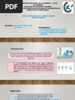 La Pirámide Del Control de Riesgos | PDF | Riesgo | Solvente