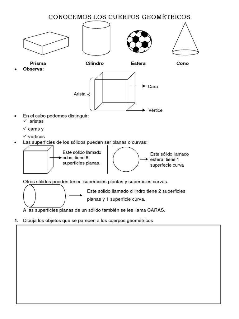 Conocemos Los Cuerpos Geométricos 1° | PDF | Objetos geométricos | Espacio