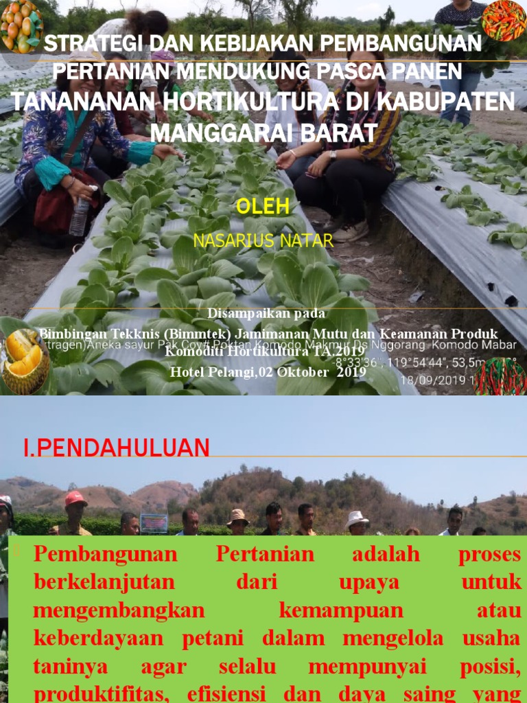 Materi Penanganan Panen, Pasca Panen Bawang Merah | PDF