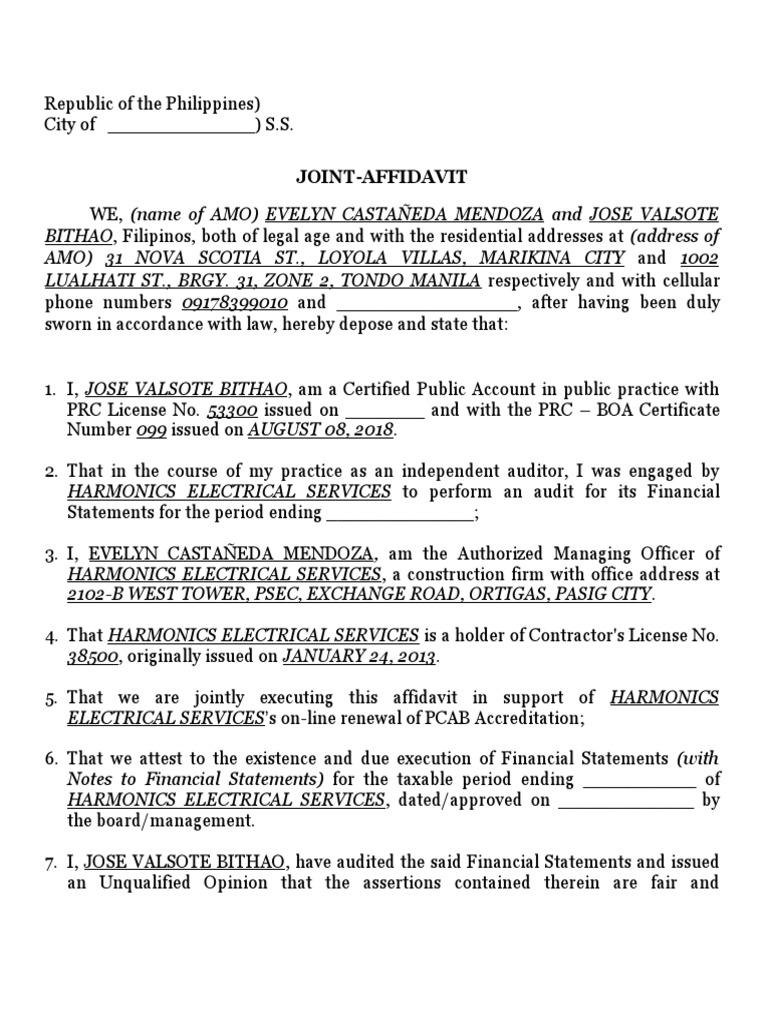 Auditor Affidavit | PDF | Audit | Financial Statement