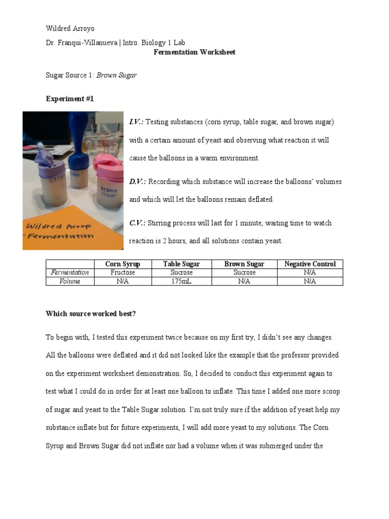 Fermentation Worksheet | PDF | Sucrose | Syrup