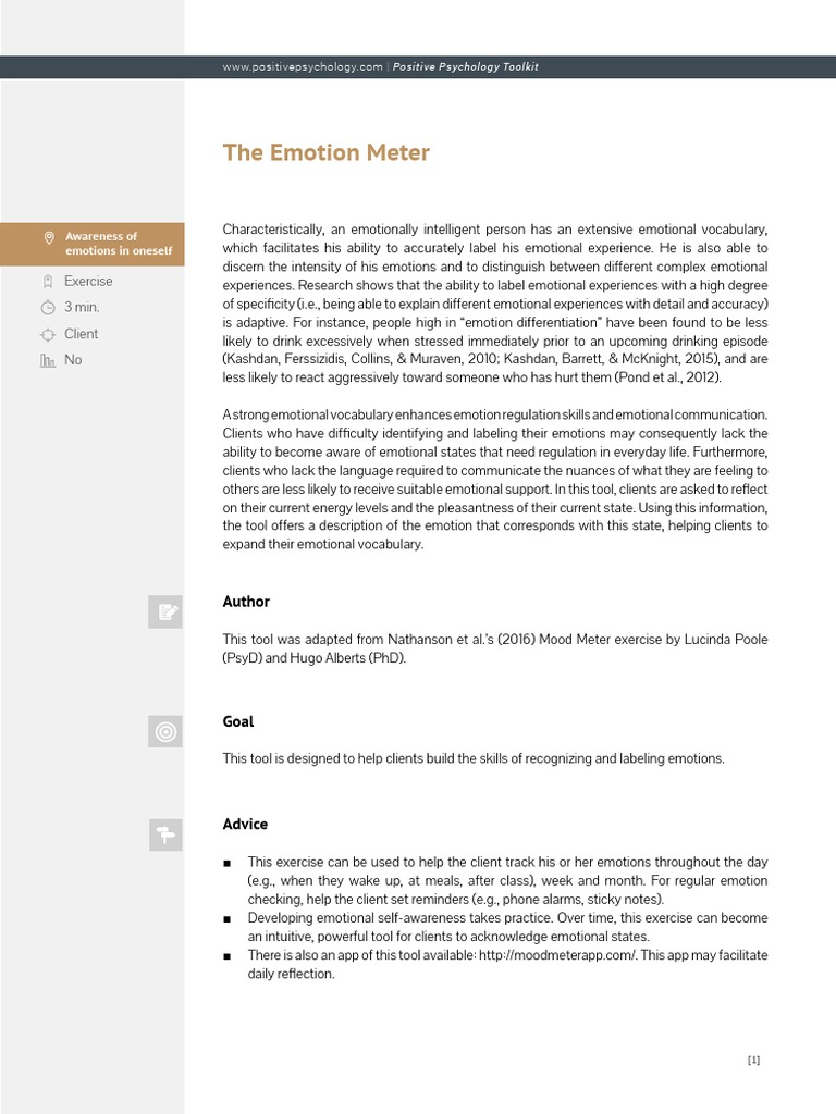 The Emotion Meter | PDF | Emotional Intelligence | Emotions