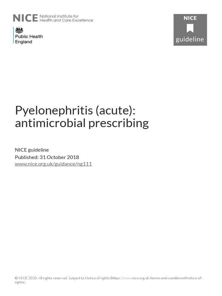 Pyelonephritis Acute Antimicrobial Prescribing PDF 66141593379781 | PDF ...