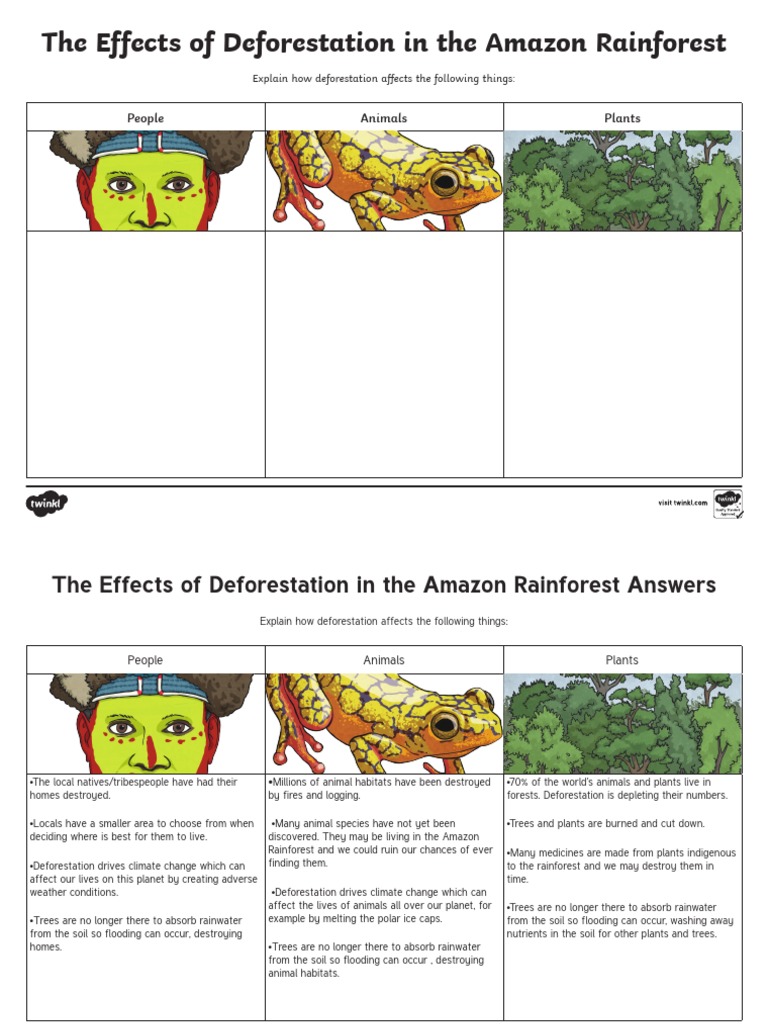 Ni2 G 31 The Effects of Deforestation in The Amazon Rainforest Writing ...