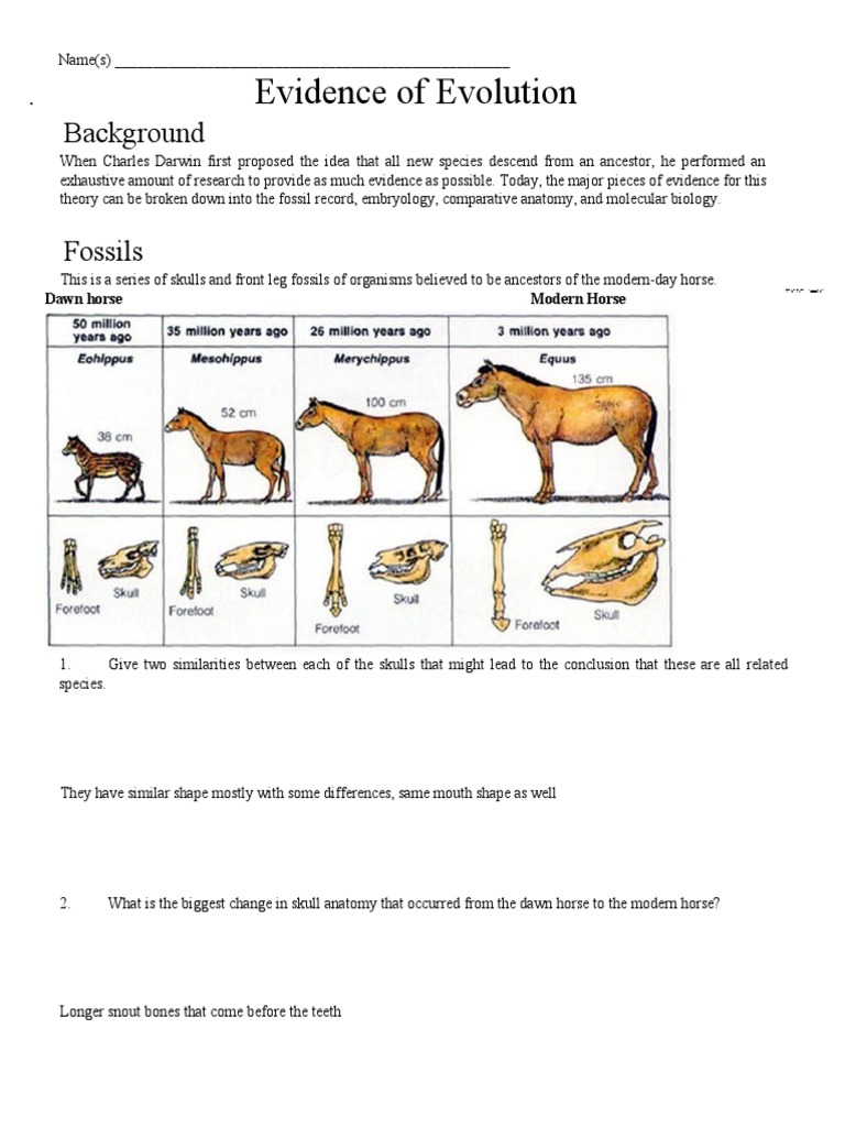 Evidence of Evolution: Background | PDF | Anatomy | Evolution
