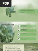 Rodent Skull Identification Guide | PDF | Tooth | Rodent