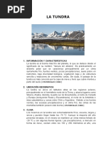 Bioma Tundra Exposicion | PDF | Fenómenos de la tierra | Ecología