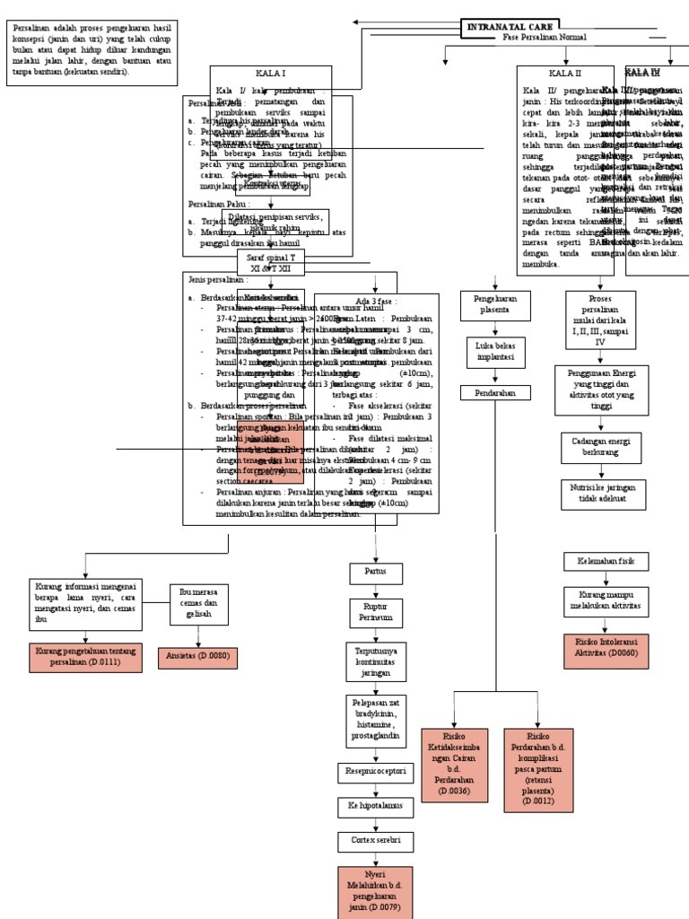 WOC Intranatal Kelompok 1 | PDF