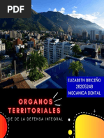Funciones de Las Redi en Venezuela | PDF | Venezuela | Defensa