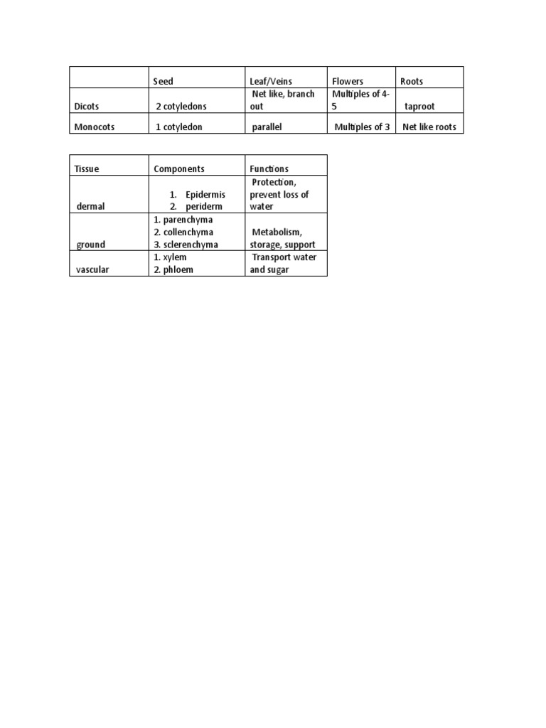 Plant Structure PDF