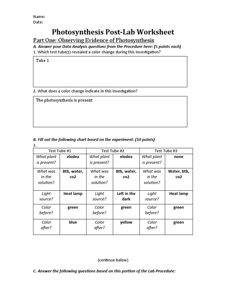 Photosynthesis Post-Lab Worksheet | PDF | Chemical Substances ...