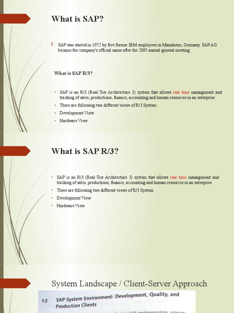 What Is SAP R/3? | PDF | Invoice | Debits And Credits