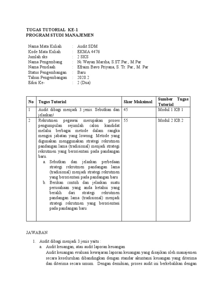 Tugas 1 Audit SDM | PDF
