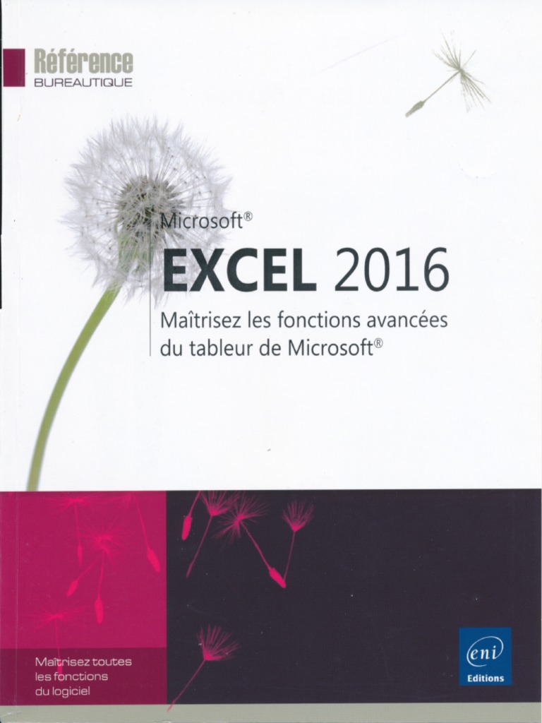 Eni Excel 2016 Maitriser Fonctions Avancees | PDF
