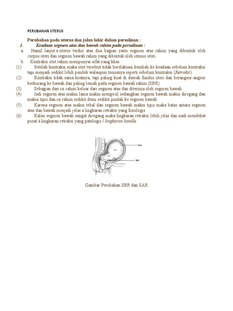 Lingkaran Retraksi Fisiologis Uterus | PDF