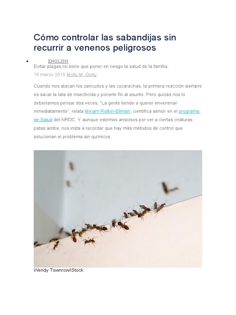 Controlar Las Sabandijas | PDF | Pesticida | Insectos