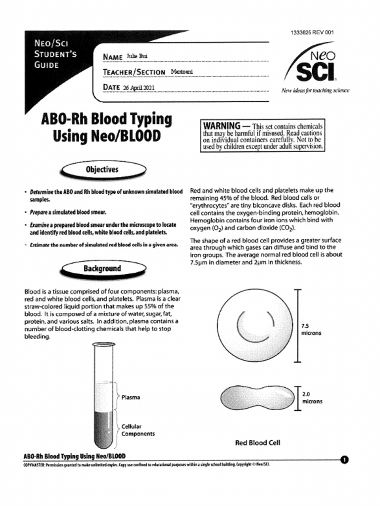 Julie Bui - Blood Typing Lab | PDF | Blood Type | Tissue (Biology)