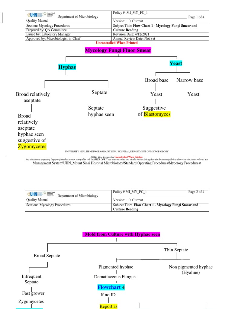 Mycology Fungi Flow Chart | PDF | Fungus | Mycology