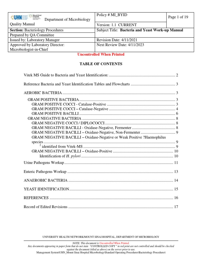 Bacteria and Yeast Work-Up Manual | PDF | Gram Positive Bacteria | Bacillus