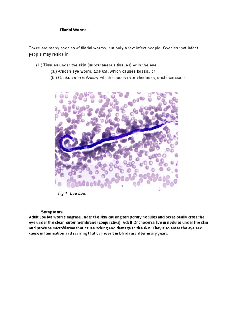 Filarial Worms: Causes, Symptoms and Transmission | PDF | Medical ...