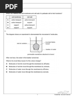 Year 7 Worksheet - GCSE - Energy | PDF | Potential Energy | Kinetic Energy