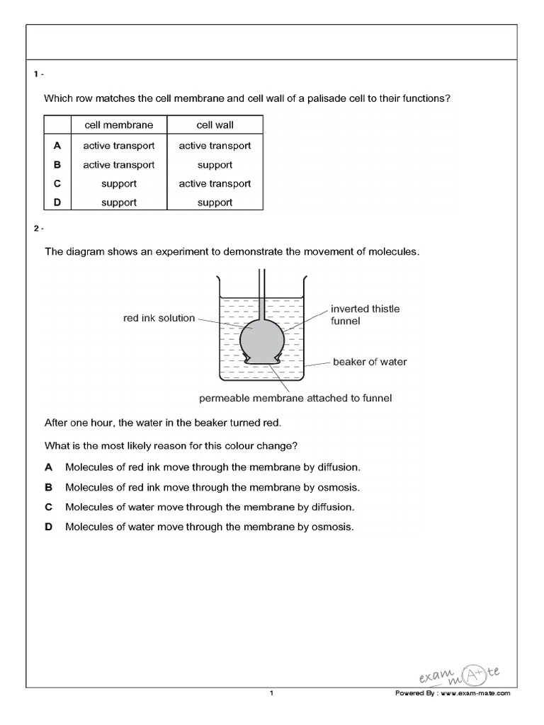 Cambridge IGCSE Science Test Papers | PDF