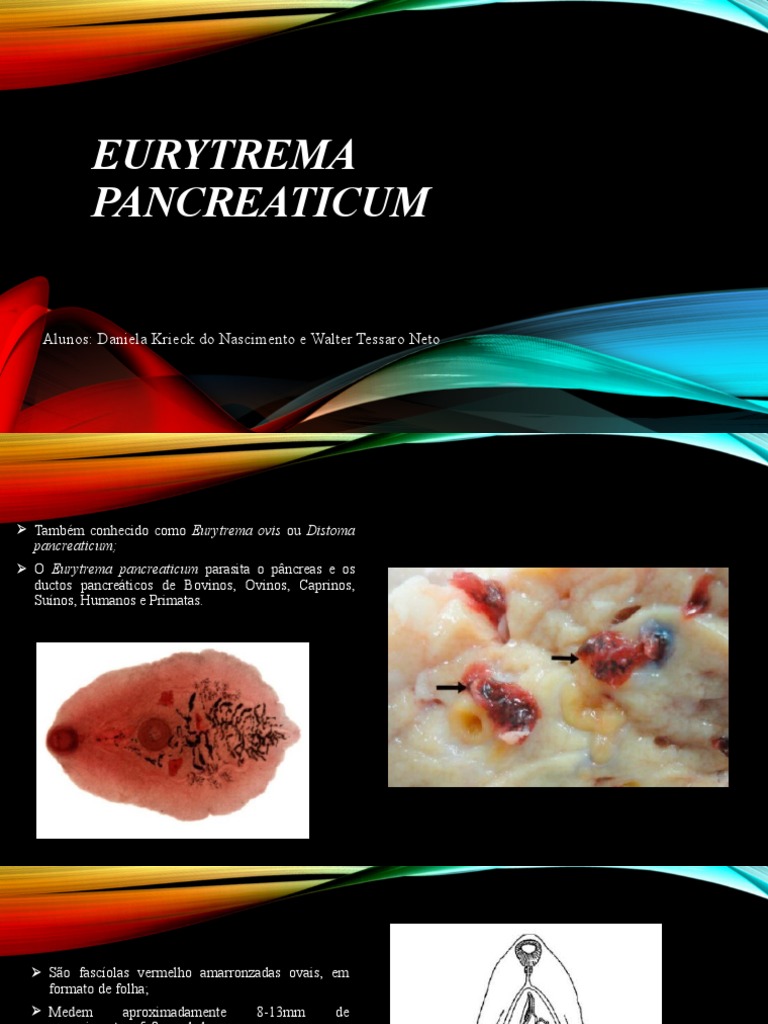 Eurytrema Pancreaticum | PDF | Pâncreas | Especialidades médicas