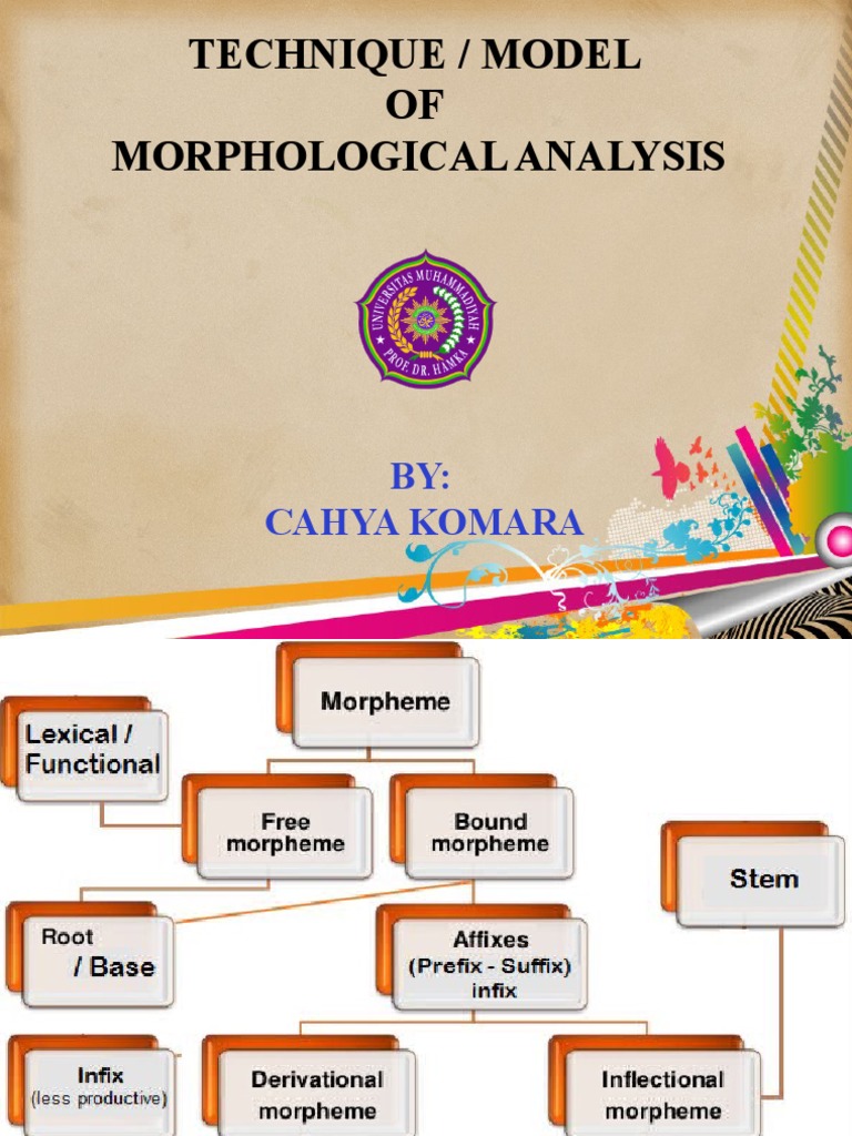 Morphological Tree Diagram Techniques | PDF | Morphology (Linguistics ...