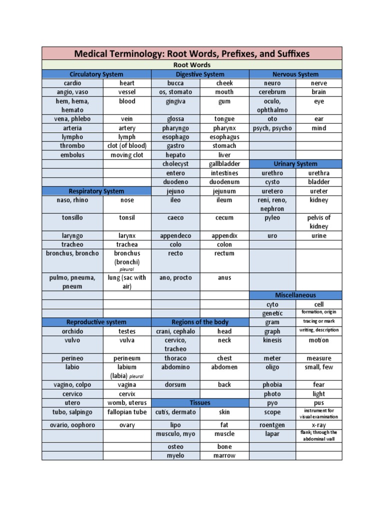Medical Terminology: Root Words, Prefixes, and Suffixes: Circulatory ...