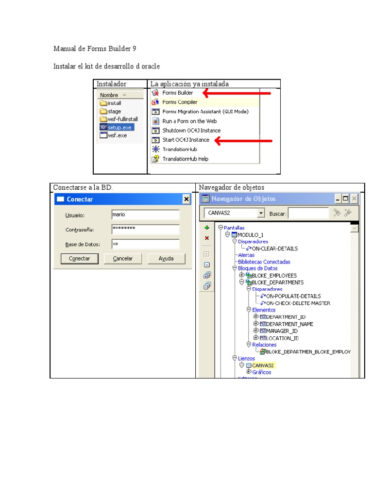Manual de Forms Builder 9 | PDF | Tabla (base de datos) | Point and Click