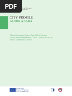 Sheger City Master Plan Overview 2024 | PDF | City | Ethiopia