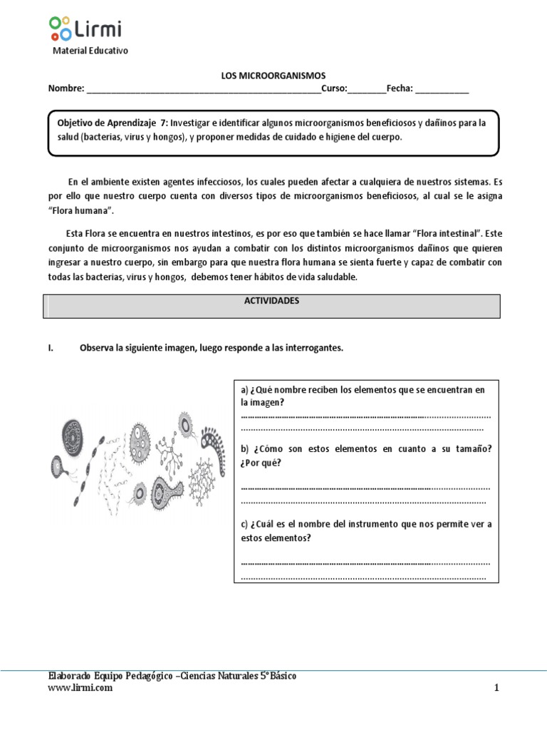 OA7 Quinto Ciencias Unidad 3 | PDF | Microorganismo | Hongo