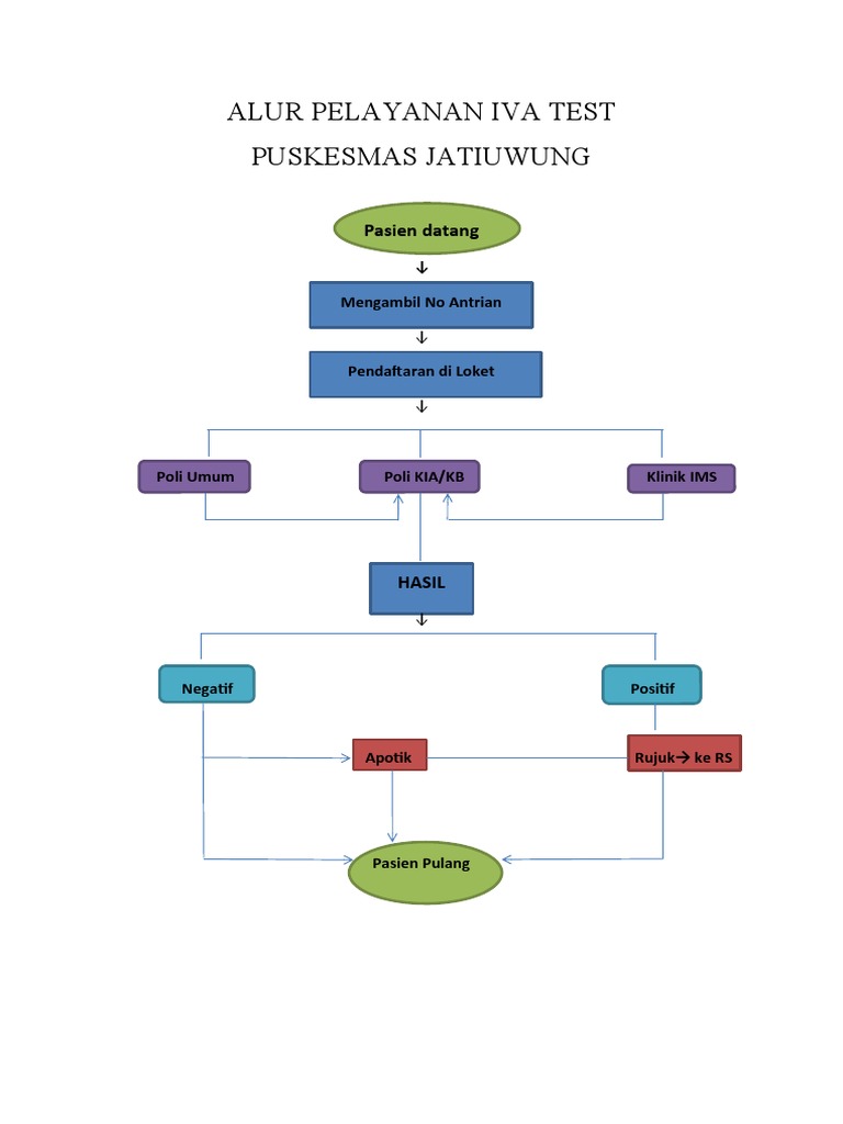 Alur Pelayanan Iva Test | PDF