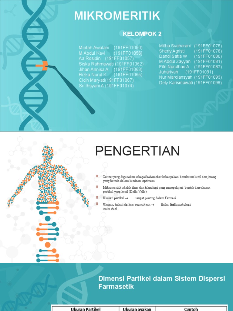 Mikromeritik: Kelompok 2 | PDF | Sains & Matematika