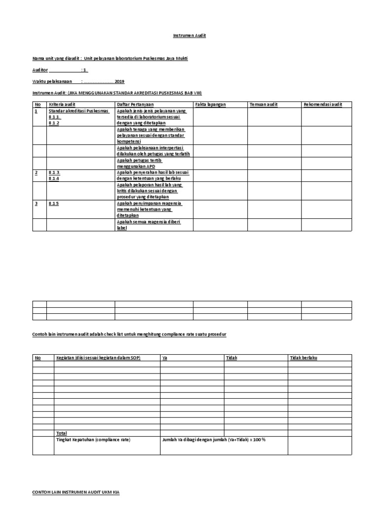 Contoh Form INSTRUMEN Audit | PDF