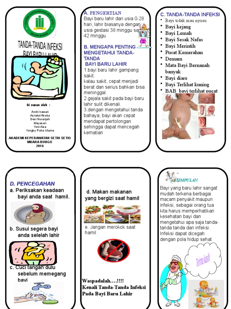 Leaflet Tanda Tanda Infeksi Pada Bayi | PDF