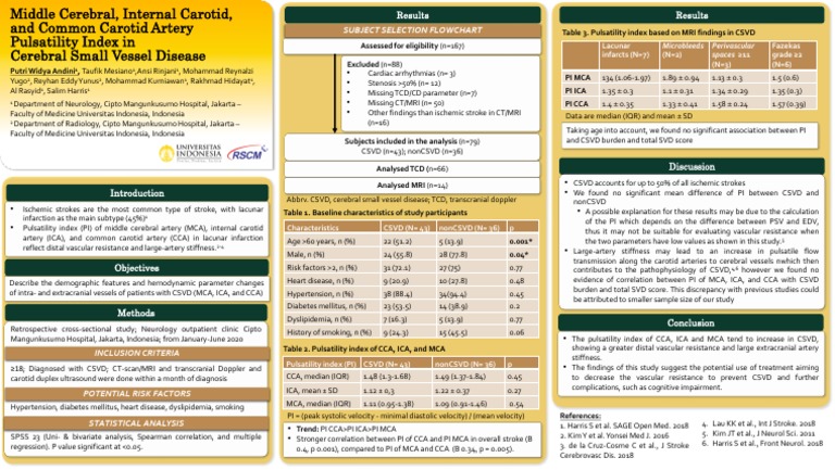 Subject Selection Flowchart: Lacunar Infarcts (N 7) (N 2) (N 3) Fazekas ...