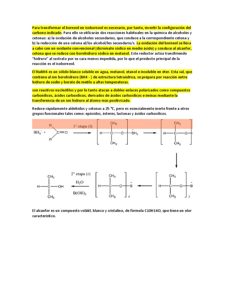 Isoborneol | PDF