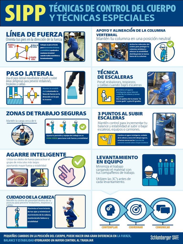SIPP Tecnicas - Infografico | PDF