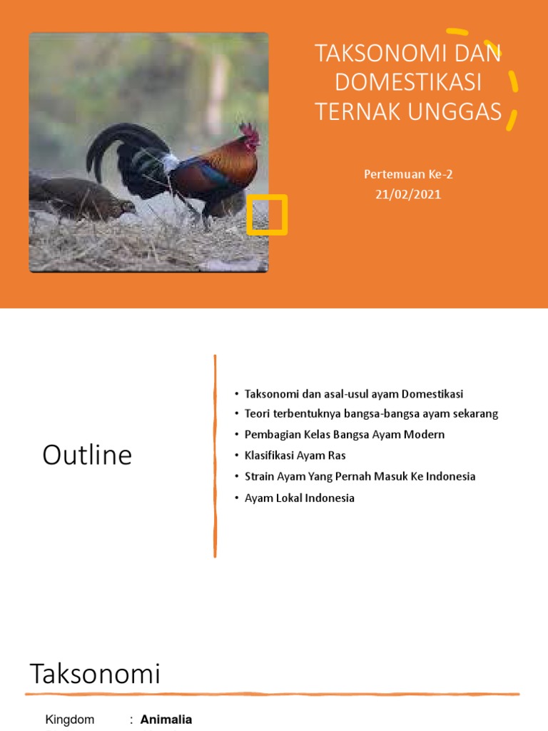 Pertemuan Ke 2 | PDF | Sains & Matematika
