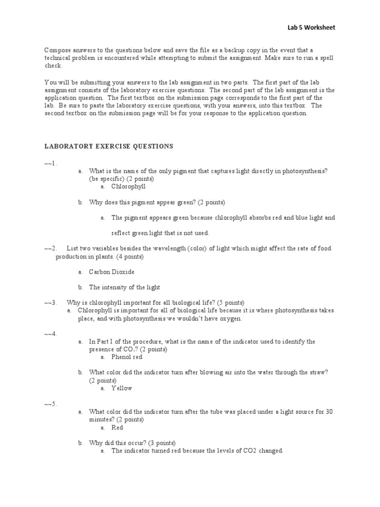 Laboratory Exercise Questions: Lab 5 Worksheet | PDF | Chlorophyll ...
