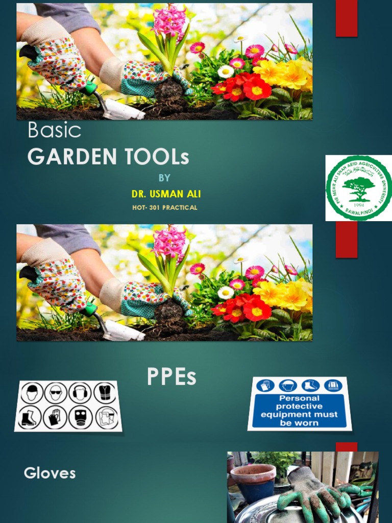 Basic Garden Tools | PDF | Lawn | Pruning